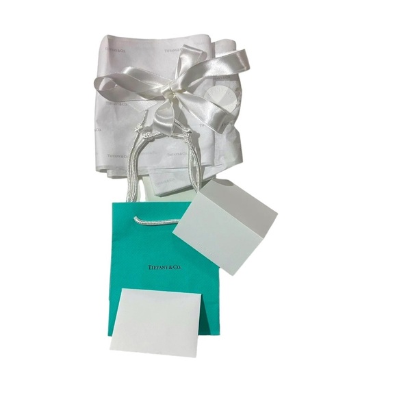 Tiffany & Co. | Other | Tiffany Co Blue Gift Bag 6x5 Gift Card With ...